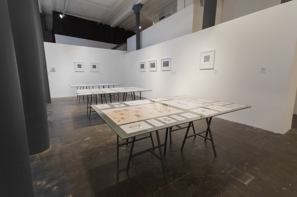 Exhibiting Artists: Justin Carter – Reading Landscape